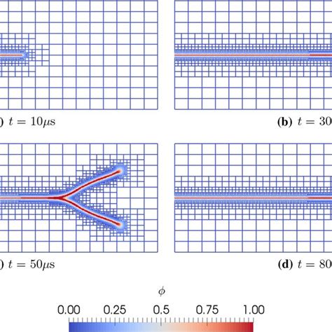 evolution of phase field variable for dynamic crack branching