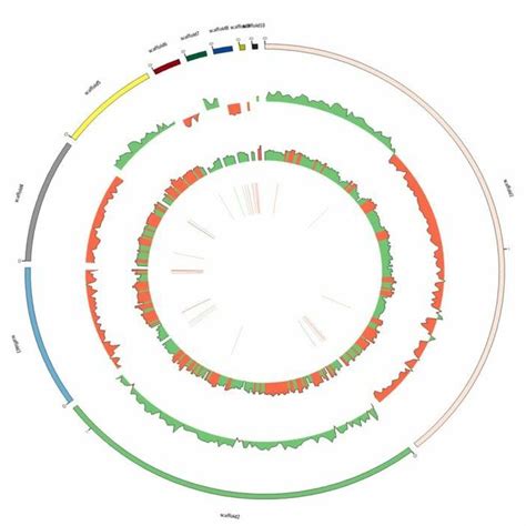 Dna Concentration And Purity Of Samples Estimated Using Nanodrop Download Scientific Diagram