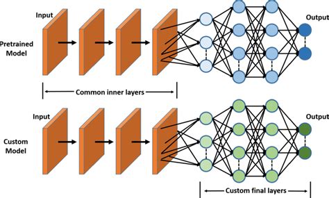 representation of transfer learning between two neural network models