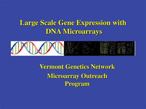 Ppt Large Scale Gene Expression With Dna Microarrays Powerpoint Presentation Id4632678