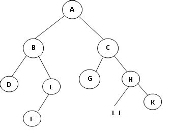 Non Linear Data Structure What Is A Non Linear Data Structure