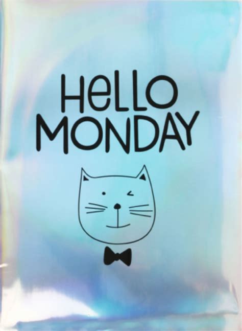 Папки-уголки, папки-конверты, портфели пластиковые купить в Минске