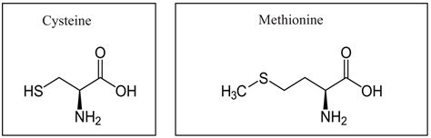 Cysteine Structure