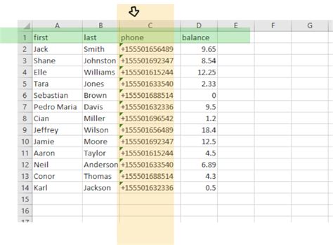 ExcelSend SMS Field Formatting