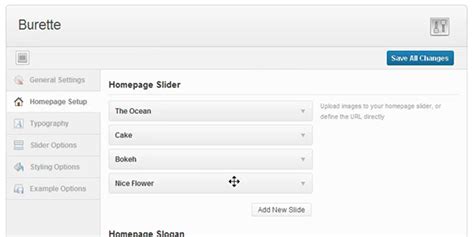 wordpress theme panel options frameworks