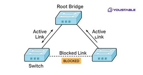 Master Flooding In Computer Networks Key Algorithms Explained