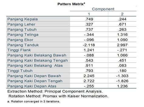 Spss Analisis Biplot