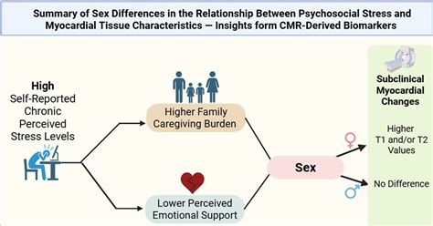 Sex Differences In The Relationship Between Psychosocial Stress And Myocardial Tissue
