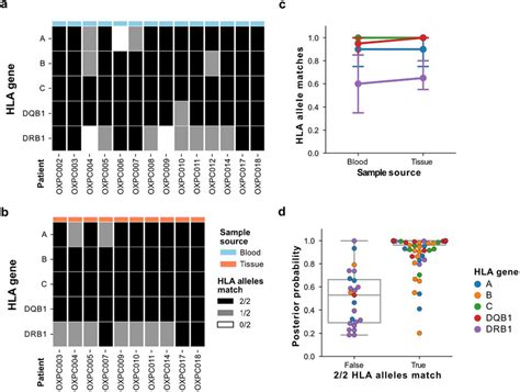 Assessment Of 4 Field Hla Typing Accuracy From Lc Wgs A B Number Of