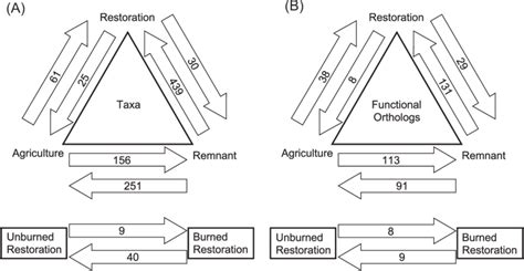 Number Of Indicator A Taxa And B Functional Orthologs Per Site Type