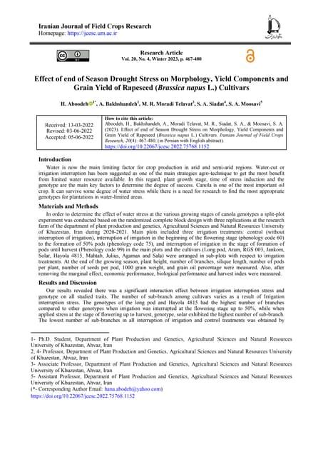 Effect Of End Of Season Drought Stress On Morphology Yield Components
