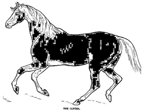 Selaria Lívia Niterói Rj