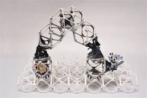 Self Replicating Robots Can Build Almost Anything And Grow Into