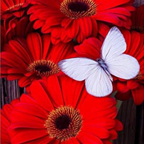 Диамантени гоблени ДИ