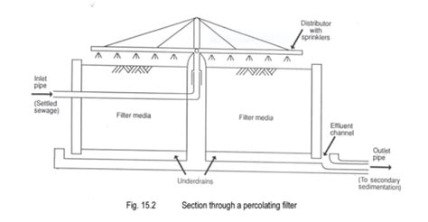 Diagrams Illustrations Flashcards Quizlet