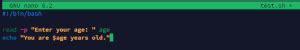 How To Use Bash Read Command Important Examples
