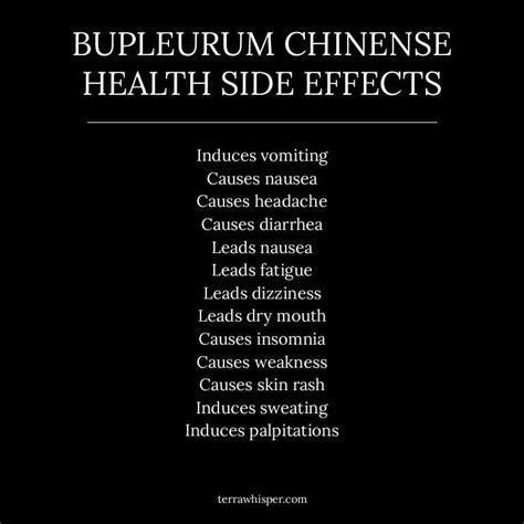Bupleurum Chinense Uses Benefits And Remedies