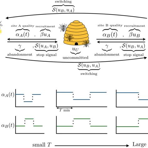 A Schematic Of Swarm Foraging Model With Two Feeding Sites Eg Download Scientific Diagram