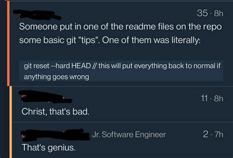 Two sides of every dev : r/ProgrammerHumor