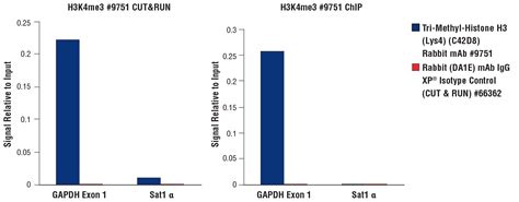 cutandrun assays cell signaling technology