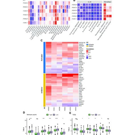 correlation between psmc genes and immune profile in lung download