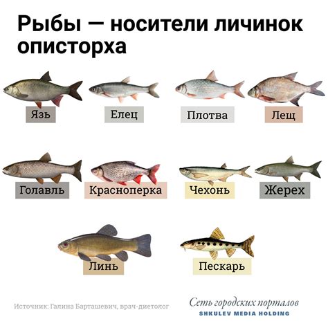 Виды рыб картинки - 62 фото