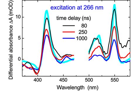 Nanosecond Transient Absorption Spectra Of Oxidized Cyt C Upon