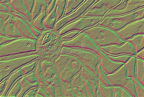 A Motor Neuron Structure Illustration Stock Illustration Illustration Of Creativity