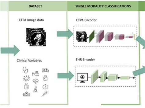 Multimodal Fusion Models For Pulmonary Embolism Mortality Prediction Artificial Intelligence