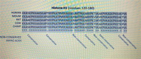 Solved Bio 332 Bioinformatics Exercise 2 An Exercise On