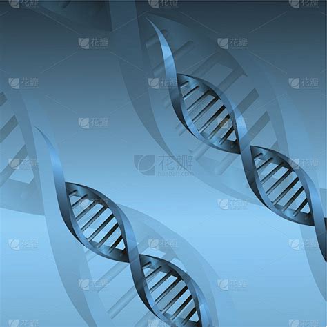 Dna分子结构背景