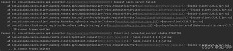 caused by com alibaba nacos api exception nacosexception client not