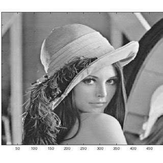 Numerical Solutions Of Equation The Left Plot Refers To Initial Download Scientific