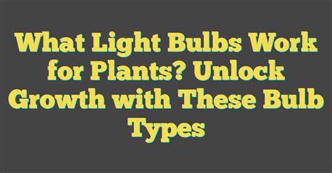 Difference Between A A Light Bulb Choose The Right One