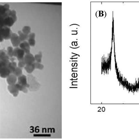 A Tem Image Of Tio2 Nanoparticles Tio2 Nps Used In This Study