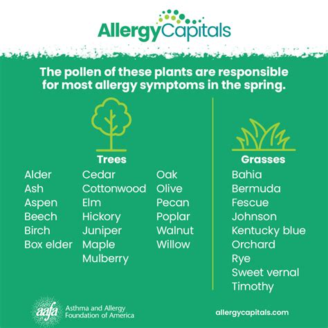 Grass Pollen Allergy AAFA Org
