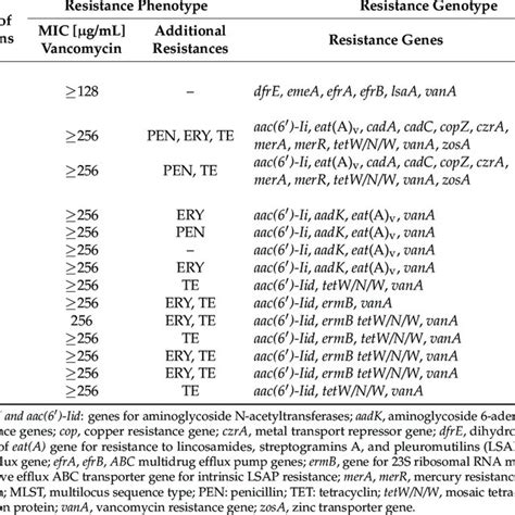Phenotypic And Genotypic Features Of Vancomycin Resistant Enterococcus Download Scientific