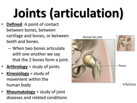 Ppt Joints Powerpoint Presentation Free Download Id2034256