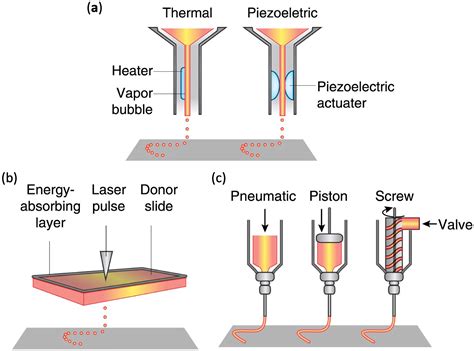 Materials Free Full Text 3d Bioprinting For Vascularized Tissue