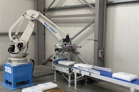 Test Station For Palletizing Robots • Bulkinside