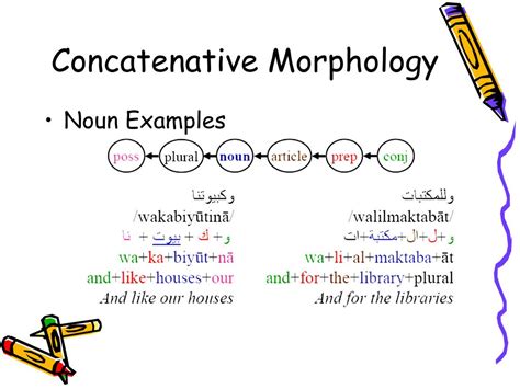 Ppt Lexicons Corpora And Morphology Powerpoint Presentation Free
