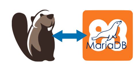 conectar dbeaver con base de datos mariadb de xampp 7 1 4 linuxitos
