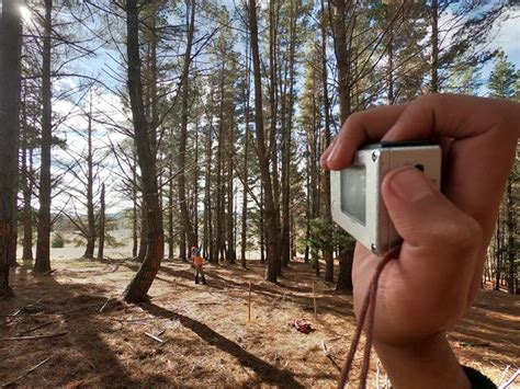Interpine Innovation On Linkedin Forest Inventory Lidar Radiata Australia