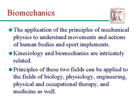 Chapter 6 Biomechanical Foundations Of Physical Education And