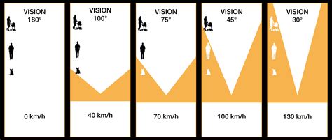 Quels Sont Les Différents Types De Champ Visuel Epaszx