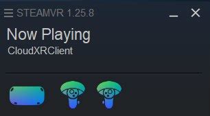 Oculus Quest 2 Connected To PC As A Client Is Detected As HTC Vive On The Server CloudXR VR