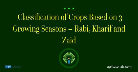 Classification Of Crops Based On Growing Seasons Rabi Kharif And Zaid AGRI TUTORIALS