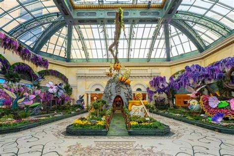 Bellagio Conservatory And Botanical Gardens Your Complete Guide