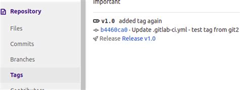 Git Understanding Gitlab CI Tags Stack Overflow