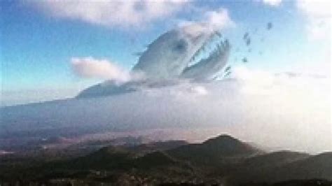 Another Update The Trevor Creatures Killers Roblox